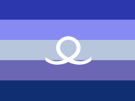 Ambiamorous Flag Info