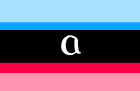 Ambiamorous Flag Info